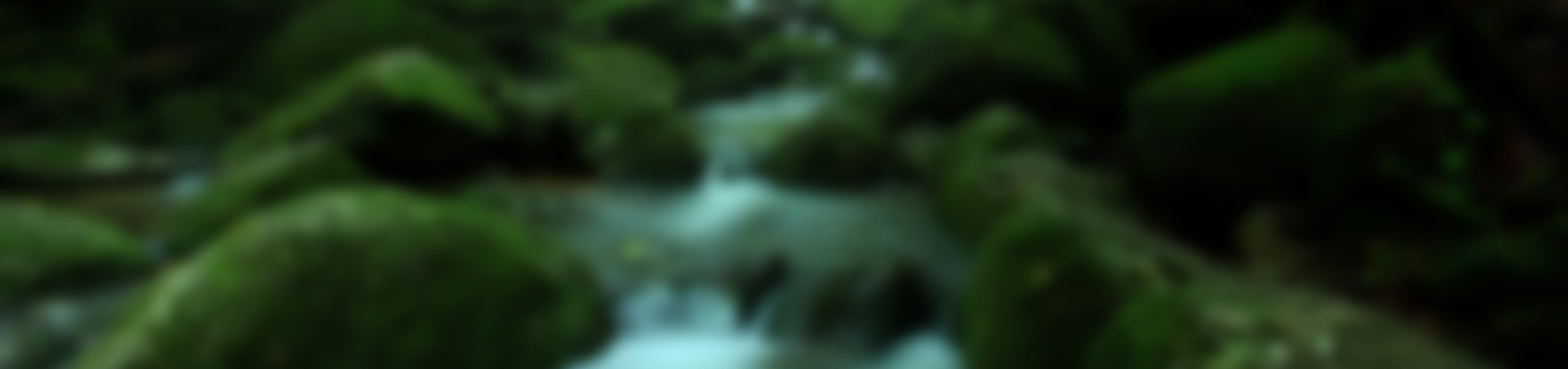 会社情報 - 三岳酒造株式会社｜鹿児島県屋久島の本格焼酎・芋焼酎