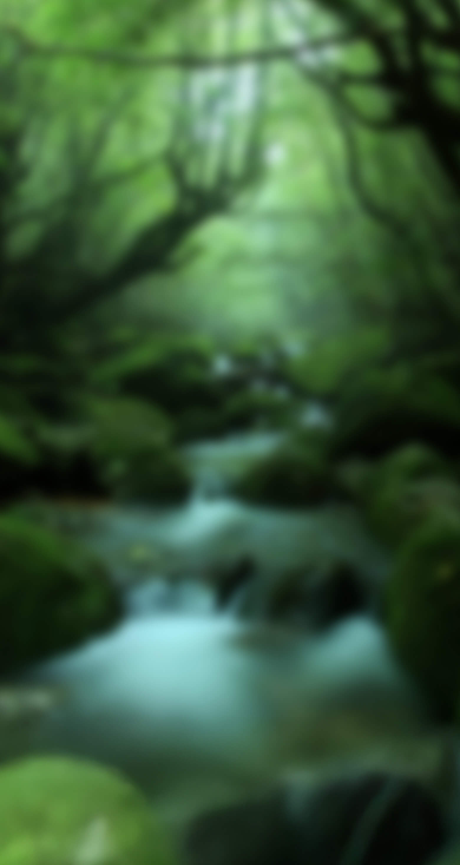 会社情報 - 三岳酒造株式会社｜鹿児島県屋久島の本格焼酎・芋焼酎