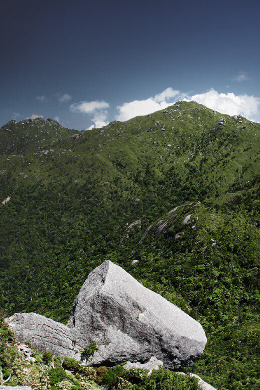 三岳酒造株式会社｜鹿児島県屋久島の本格焼酎・芋焼酎