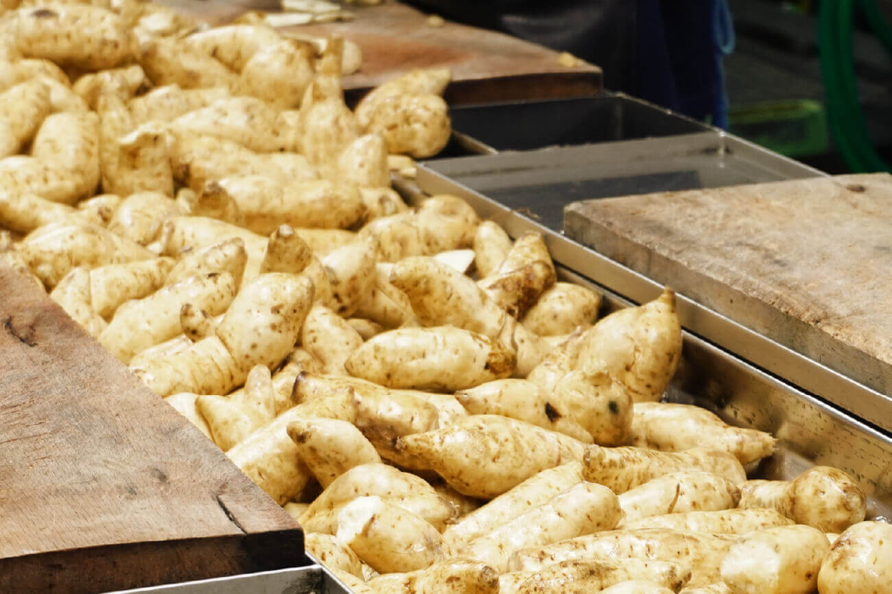 三岳酒造株式会社｜鹿児島県屋久島の本格焼酎・芋焼酎